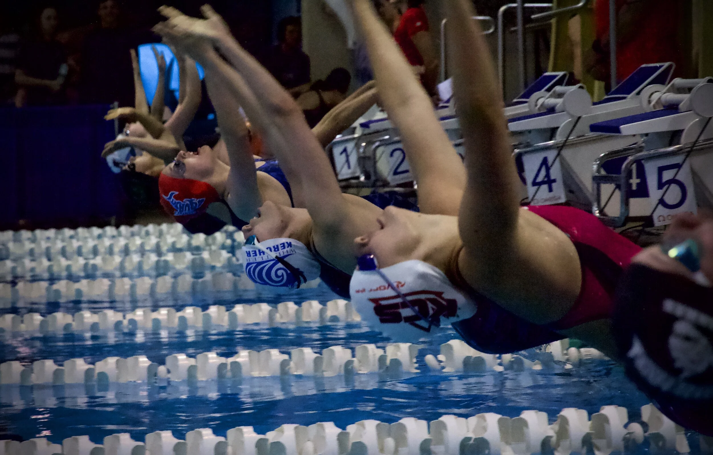 Swimmer Exercises — Whistler Sea Wolves