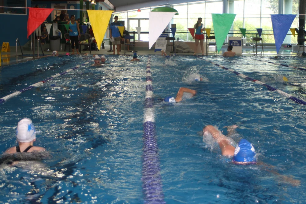 Visiting Swimmers — Whistler Sea Wolves