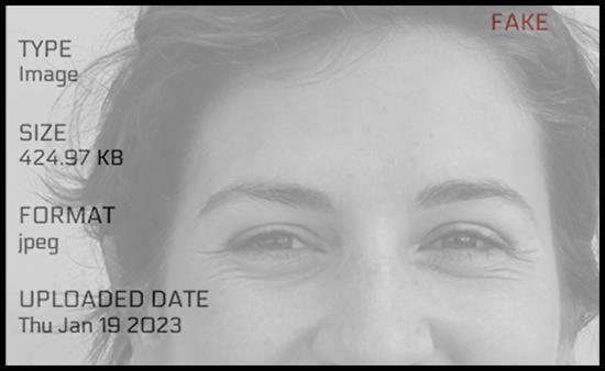 Reality Defender — Enterprise-Grade Deepfake Detection