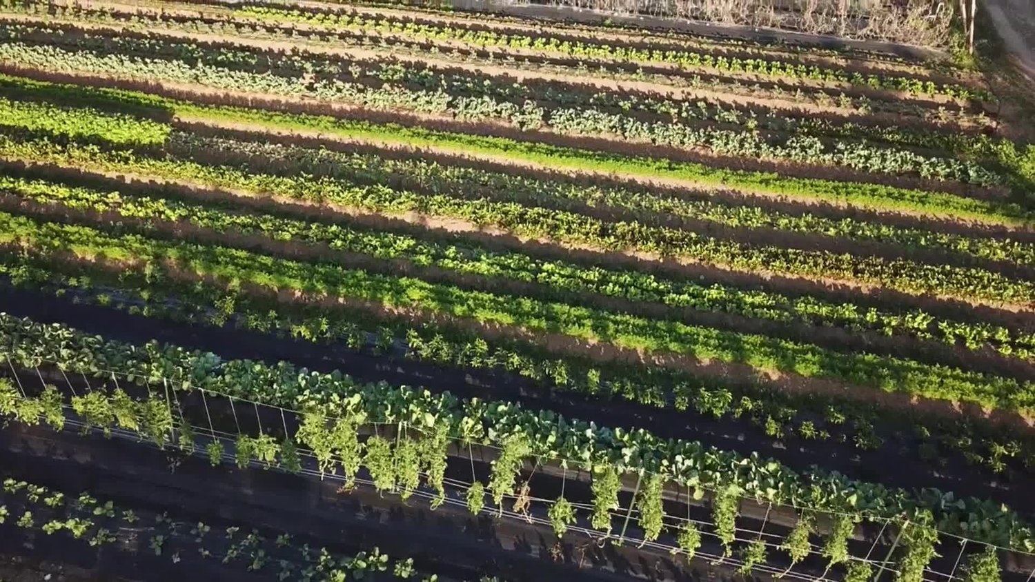 Contact Us — Empower Farms
