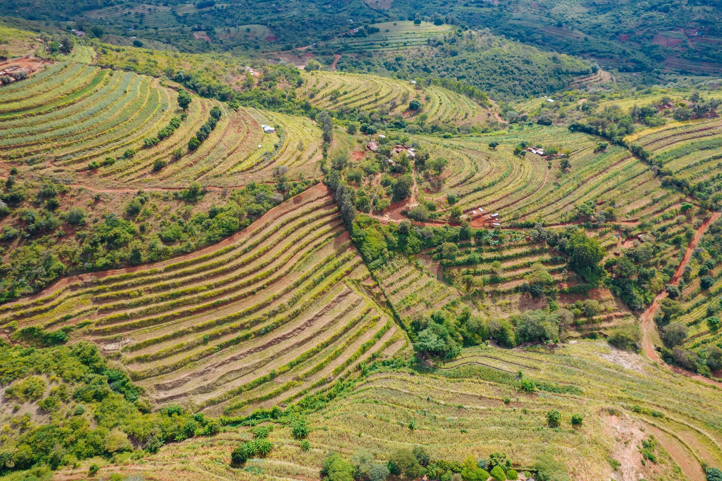 TerraFund for AFR100 | TerraMatch