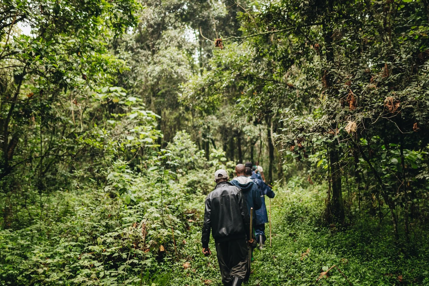 TerraFund for AFR100 | TerraMatch