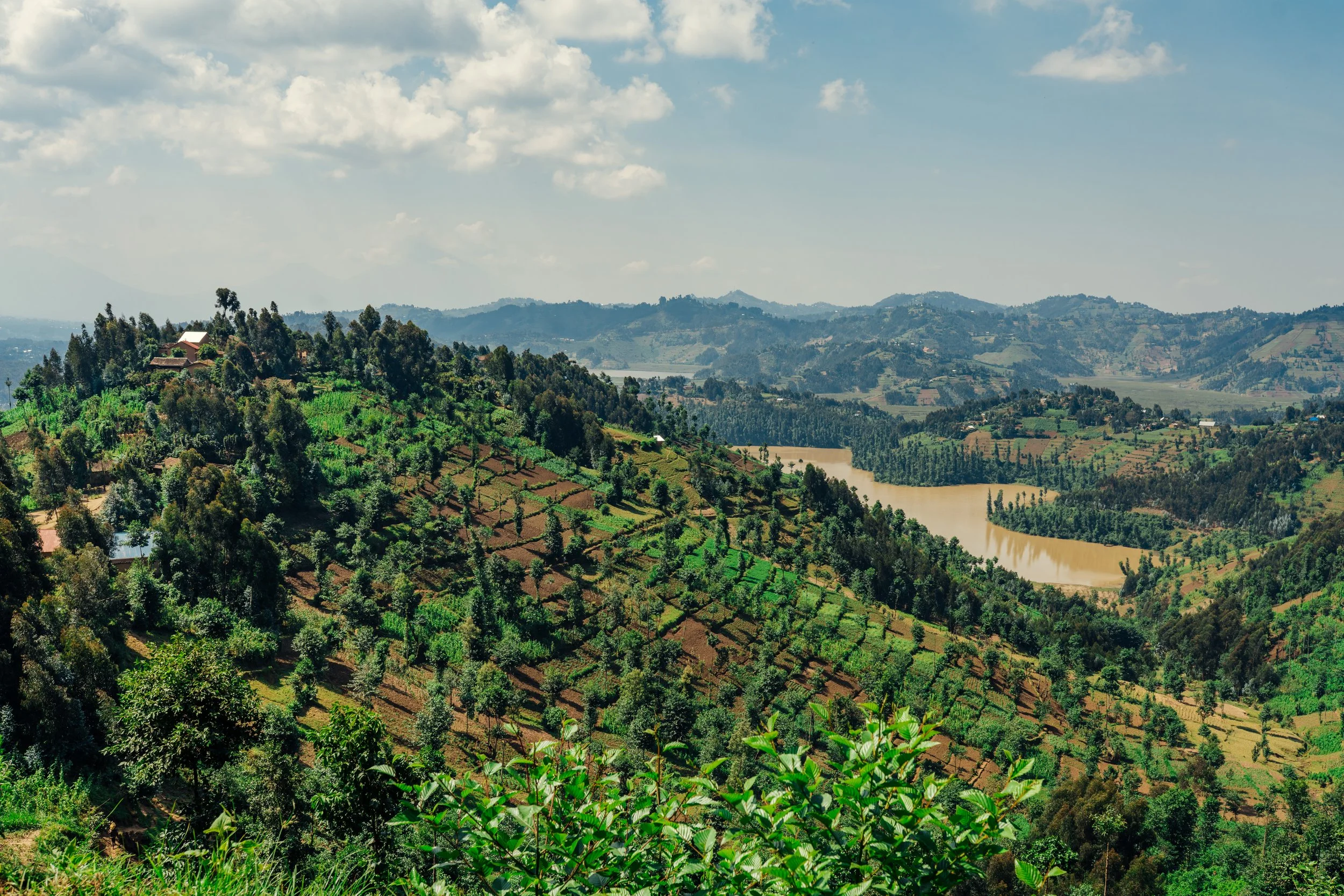 TerraFund for AFR100 | TerraMatch