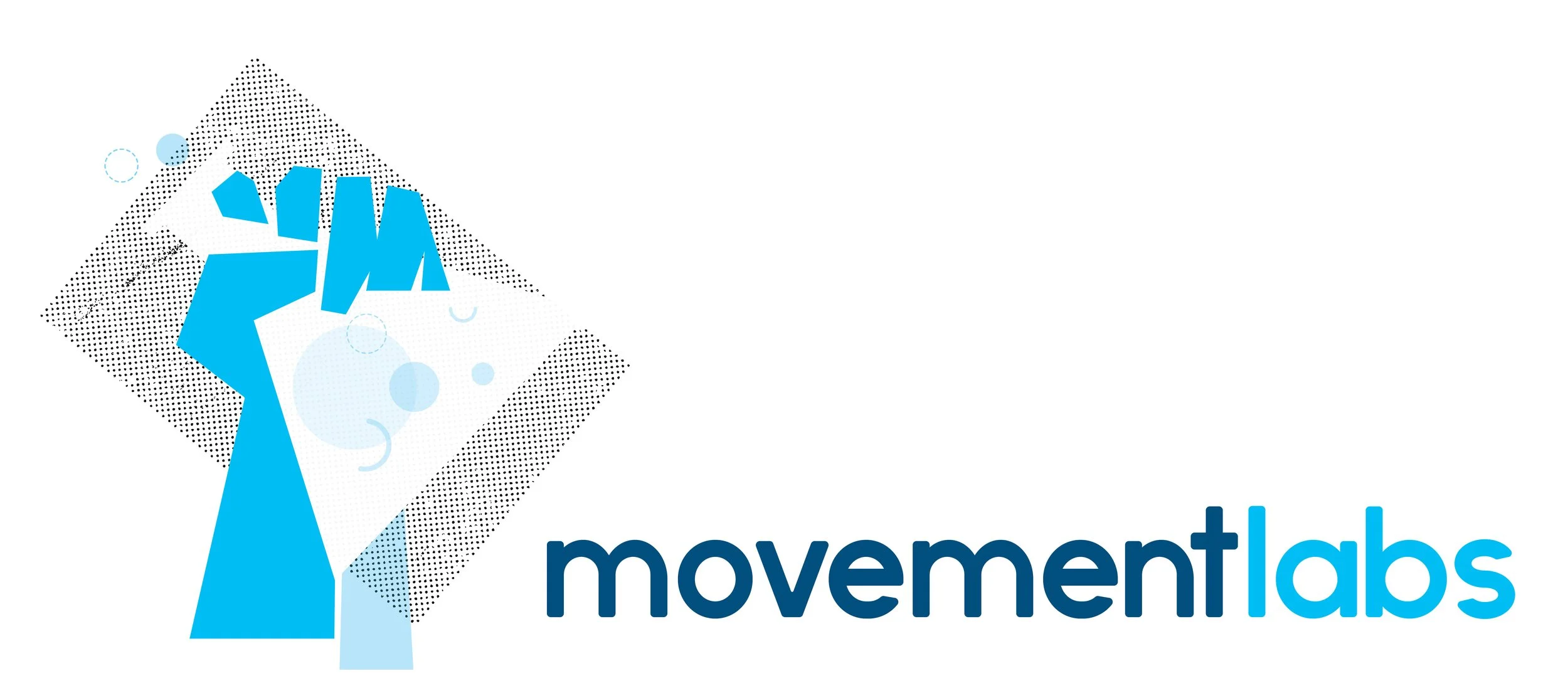 Movement Labs C3 — Focus For Democracy