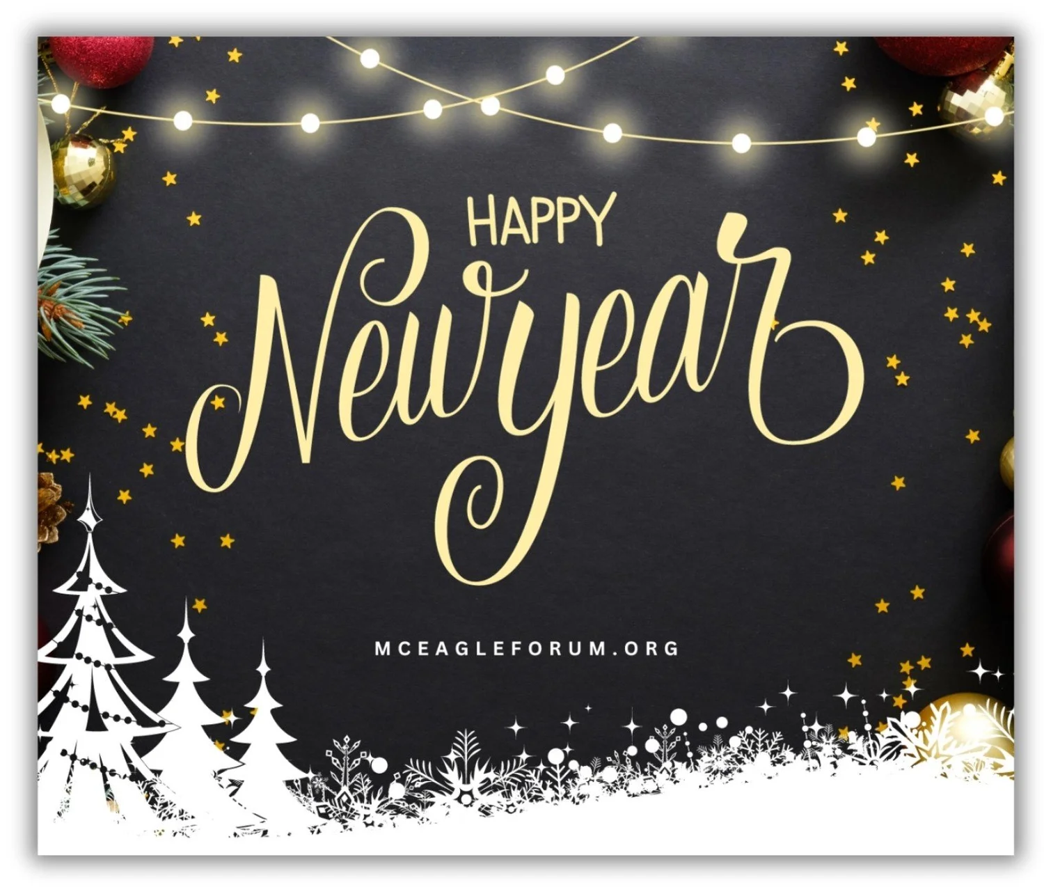 Happy New Year! — Montgomery County Eagle Forum