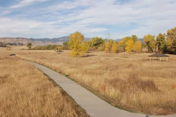 Best Fall Leaf Peeping Spots in Arvada — Visit Arvada