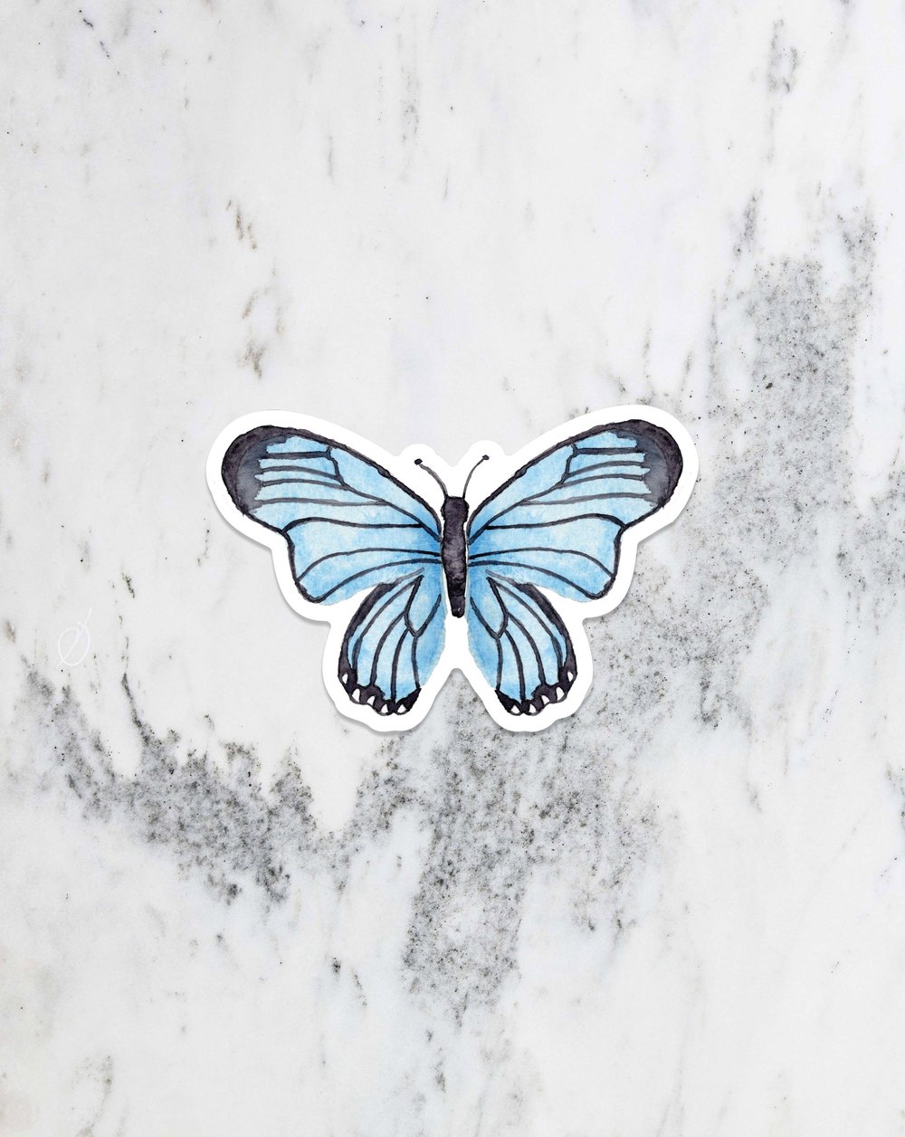 Blue Butterfly Artwork