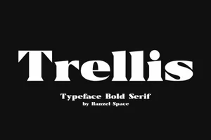 41+ Best Masculine Fonts For Modern & Bold Design