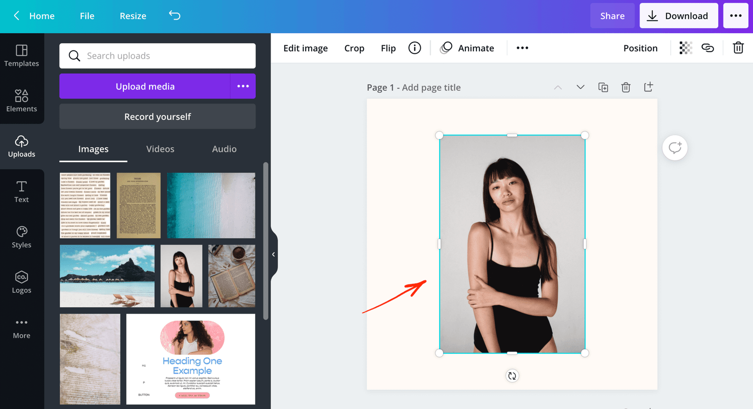 How to Remove the Background in Canva ( Video Titorial)
