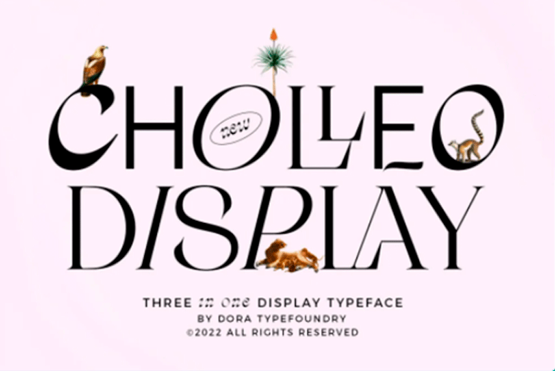 25 Luxury Fonts for Logos To Spice Up Your Branding