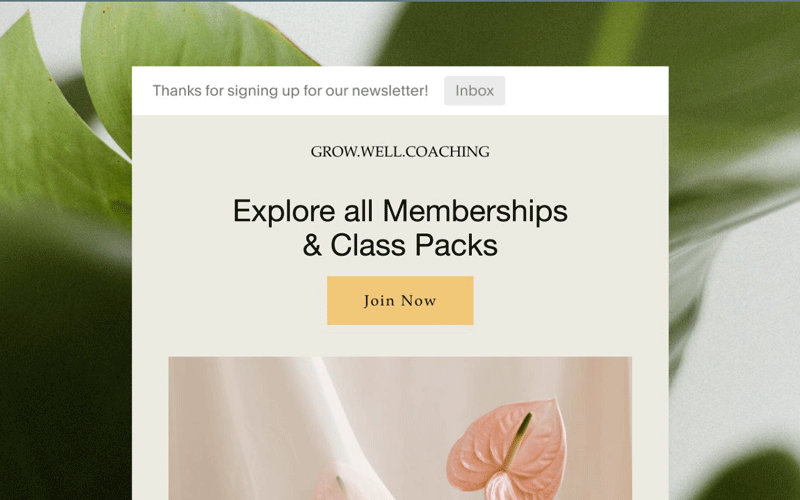 Squarespace Member Area: Step-By-Step Guide To Set Up Your Squarespace ...