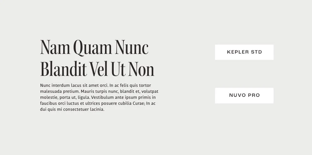 35+ Best Adobe Fonts Pairings For Your Next Project