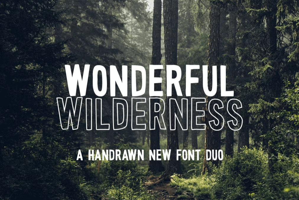 61+ Best Travel Fonts (The Ultimate List)
