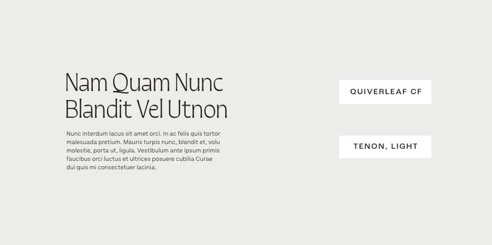 35+ Best Adobe Fonts Pairings For Your Next Project