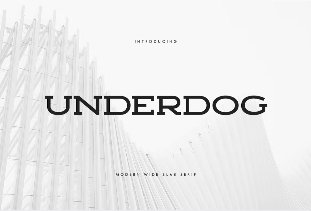 71 Best Slab Serif Fonts For A Bold And Unique Look