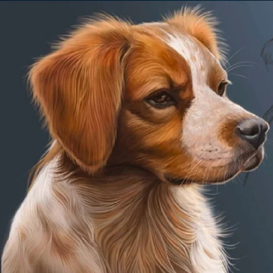 14+ Best Digital Art Classes You Can Take For Free
