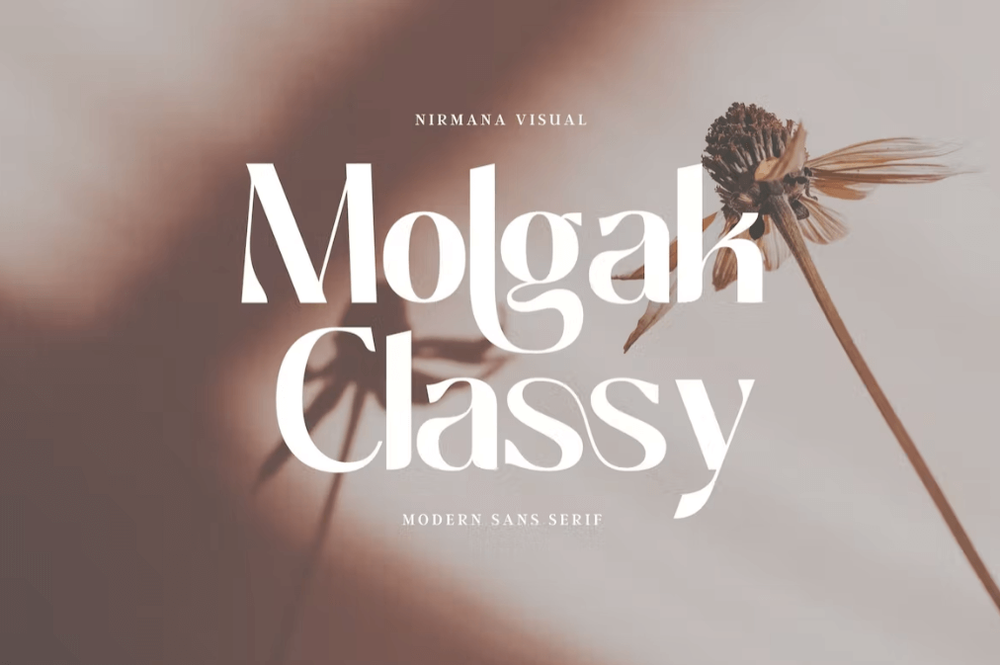 100 + Best Retro Fonts For An Authentic Vintage Design