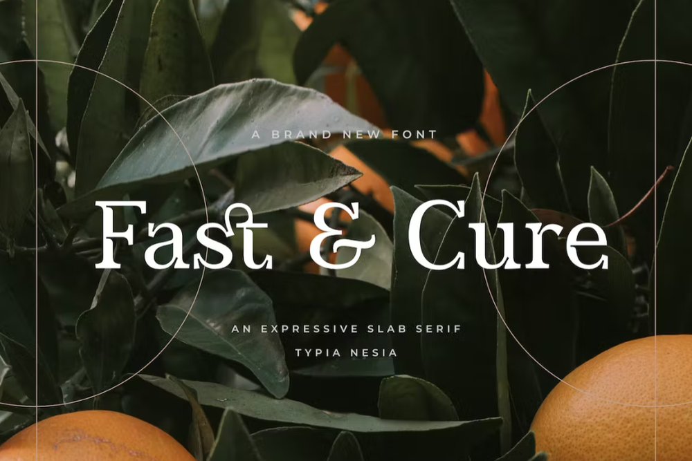 71 Best Slab Serif Fonts For A Bold And Unique Look