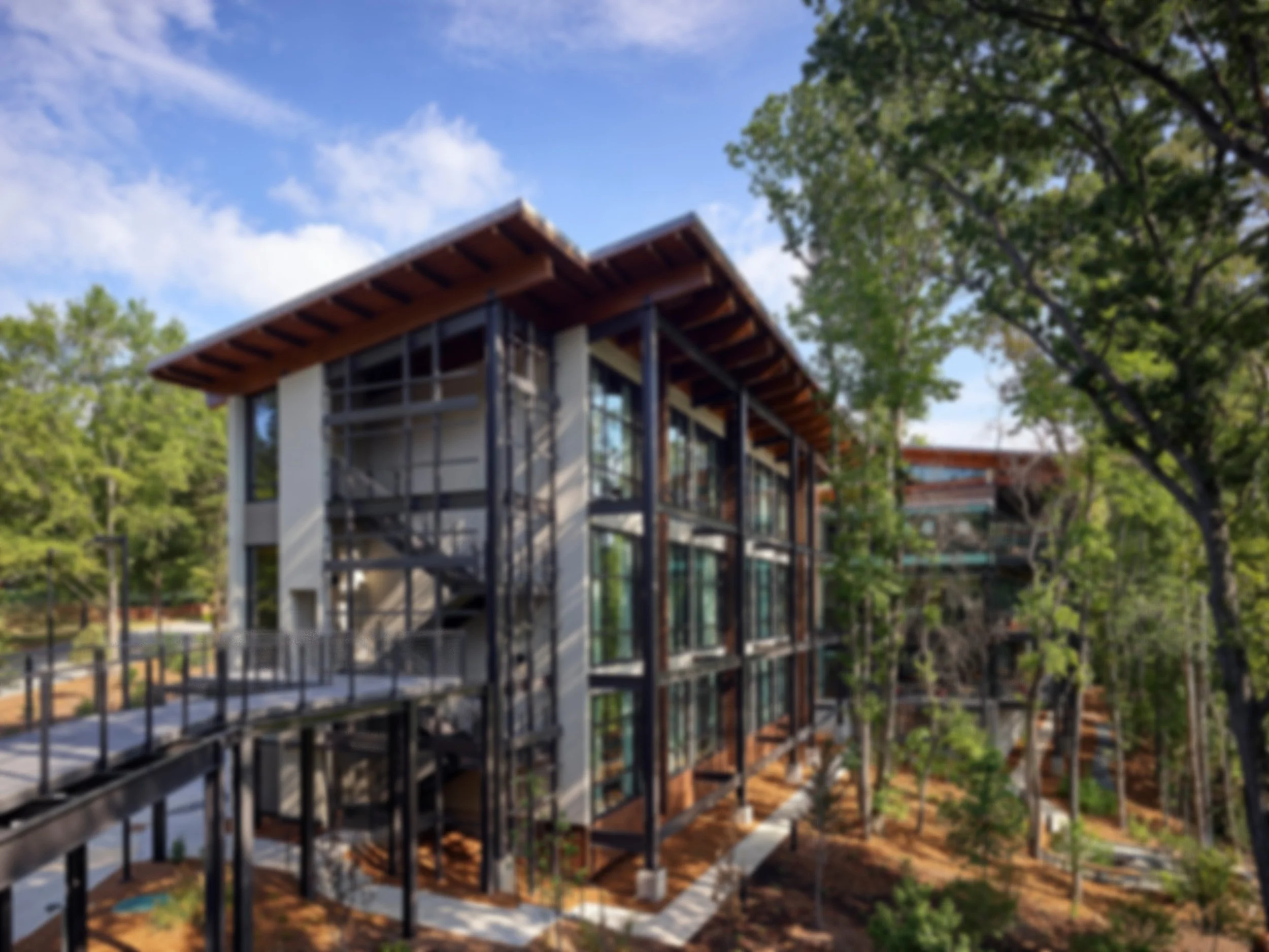 Truist Leadership Institute — PMC Commercial Interiors