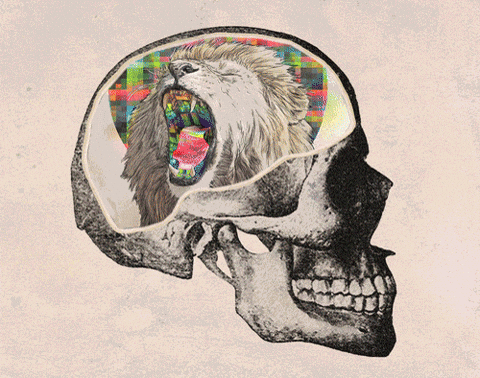 Understanding Neurodiversity and Neurodivergent People
