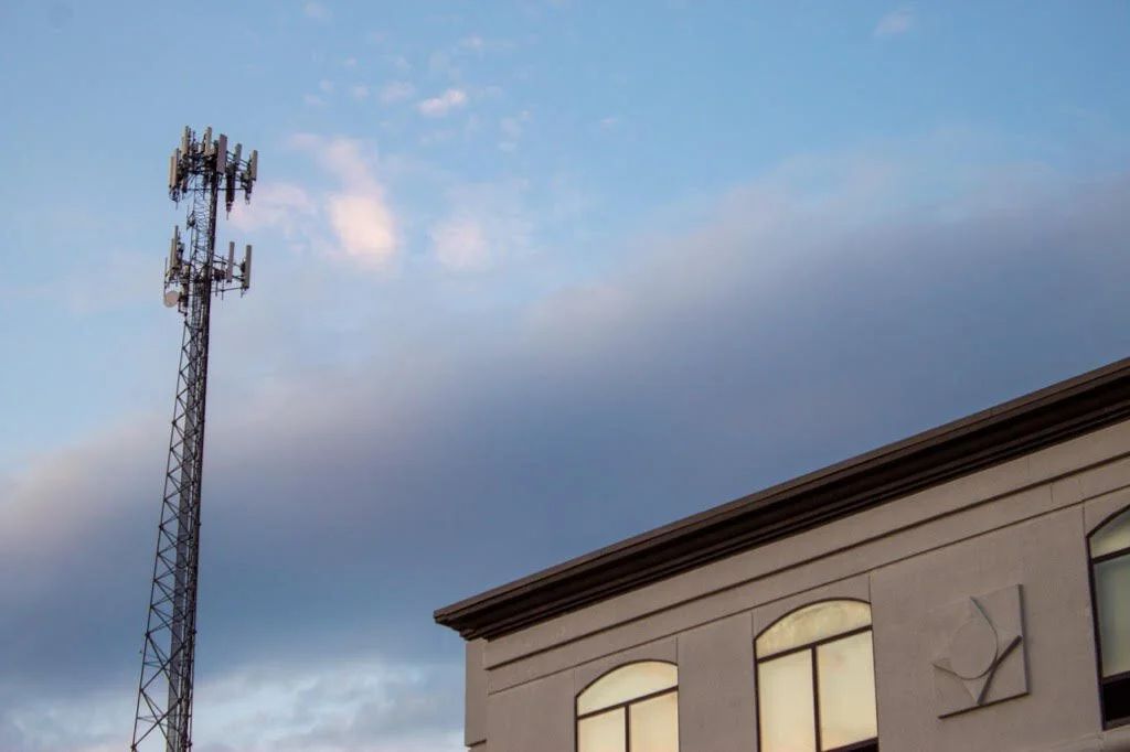 Morgan Ward Profile — Wick Monet