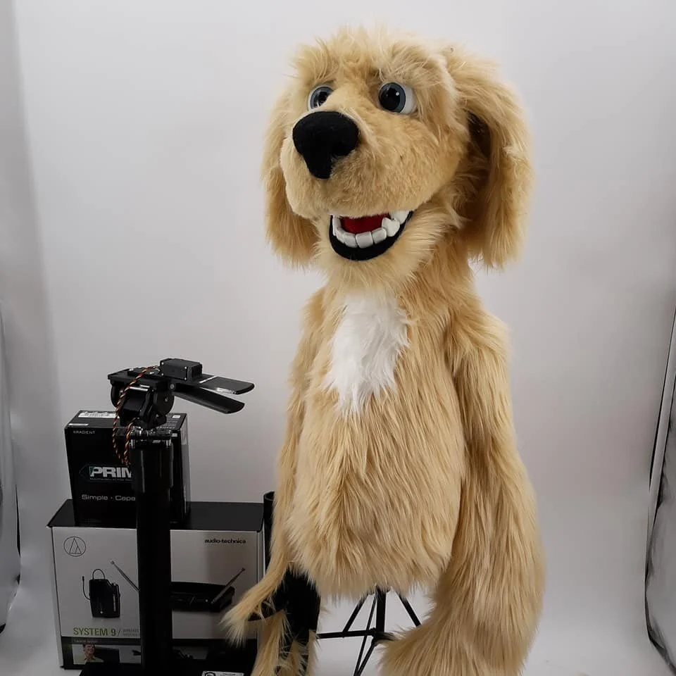 Store — Luna's Puppets