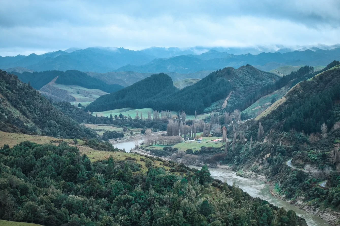 Aotearoa New Zealand | Join Our Impact Today — Caritas Aotearoa New Zealand