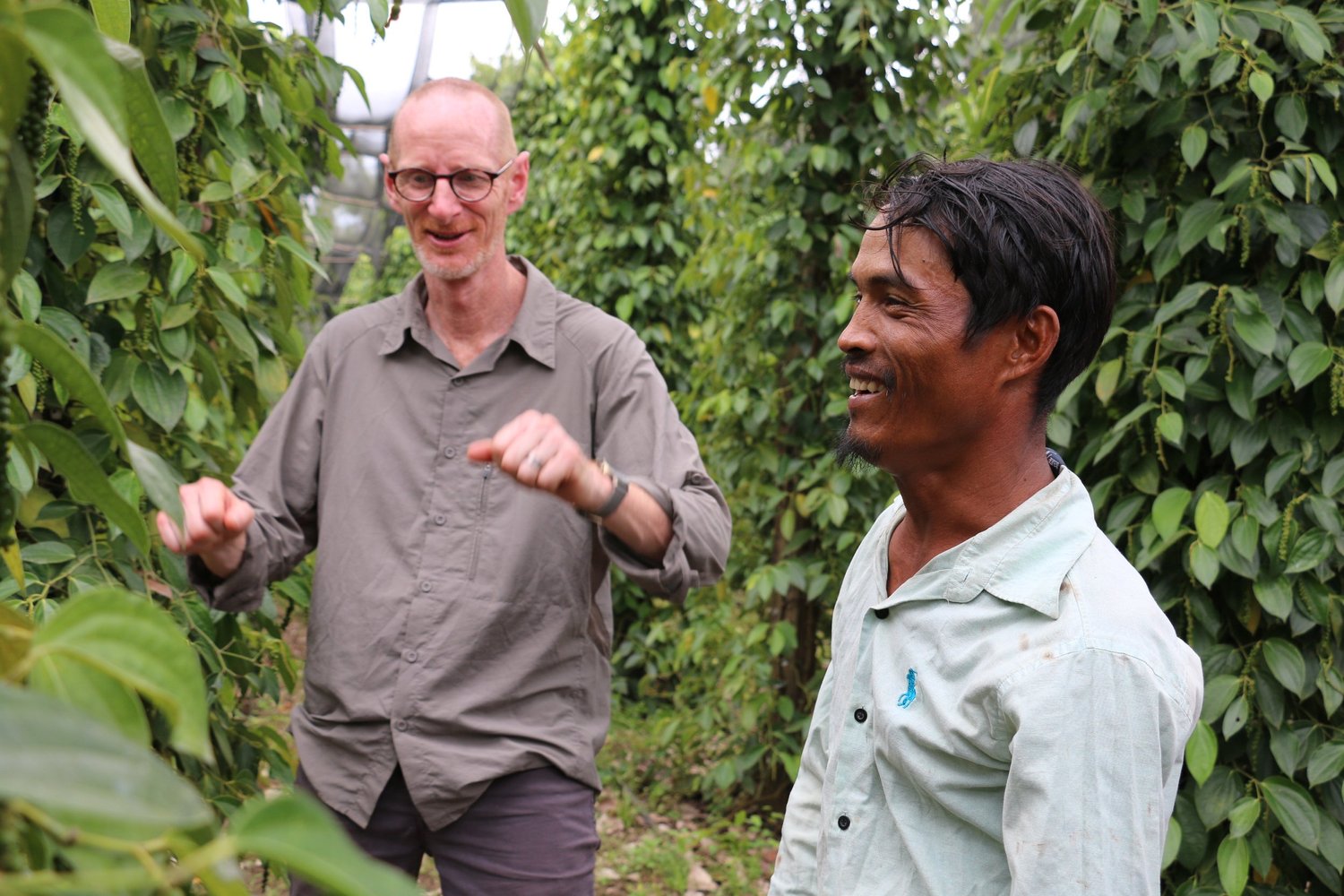What We Do — Caritas Aotearoa New Zealand