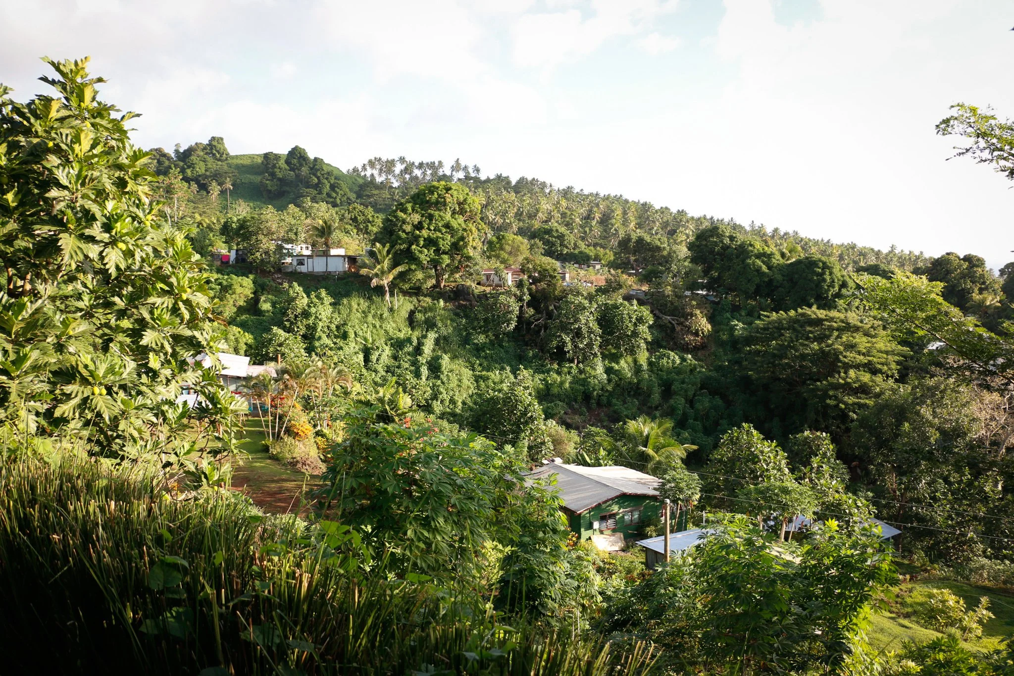 Caritas Aotearoa New Zealand