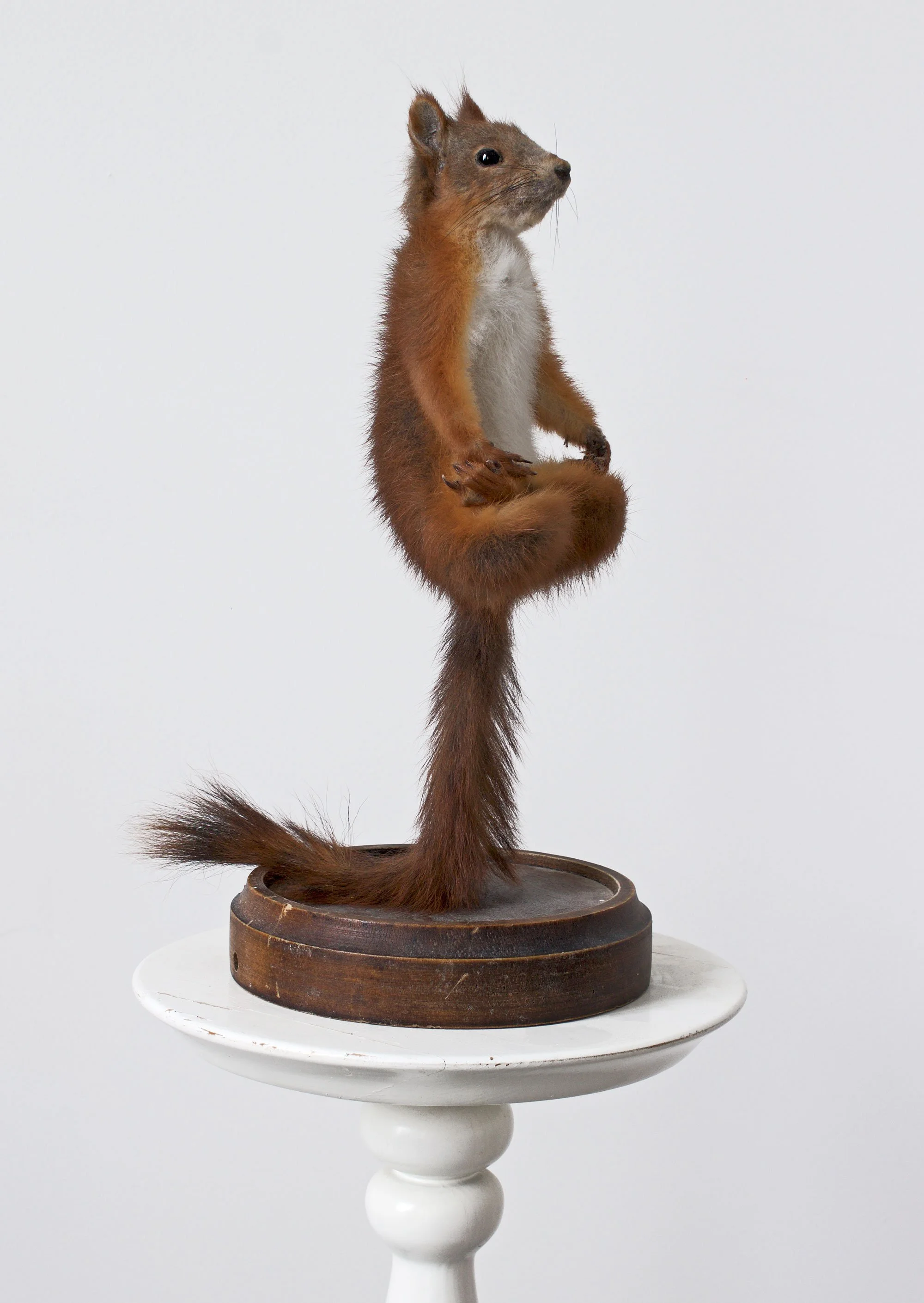 Lightness of Matter — Bjørn Hegardt & Theo Ågren