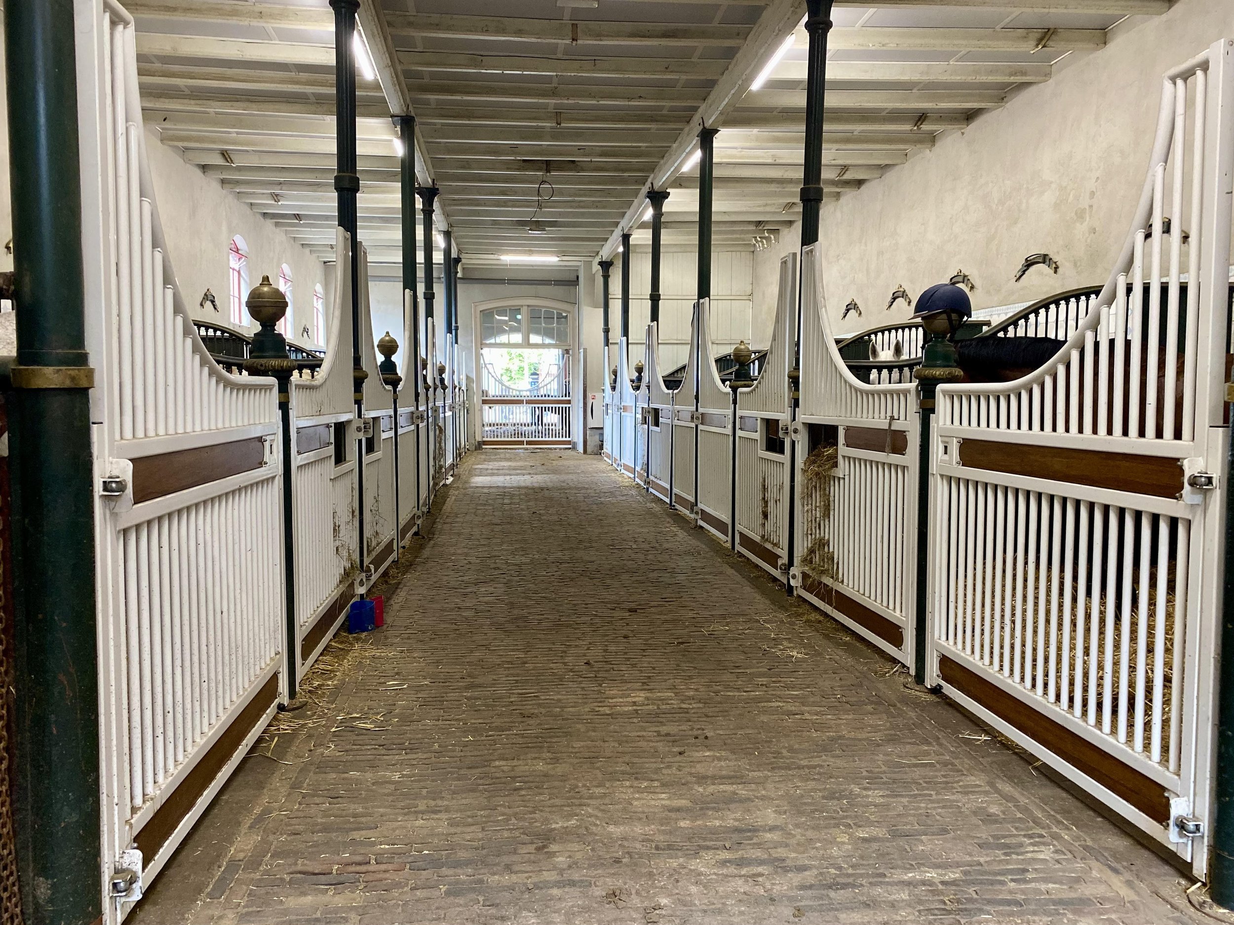 8 Reasons to visit the Living Horse Museum in Amsterdam — Able Amsterdam