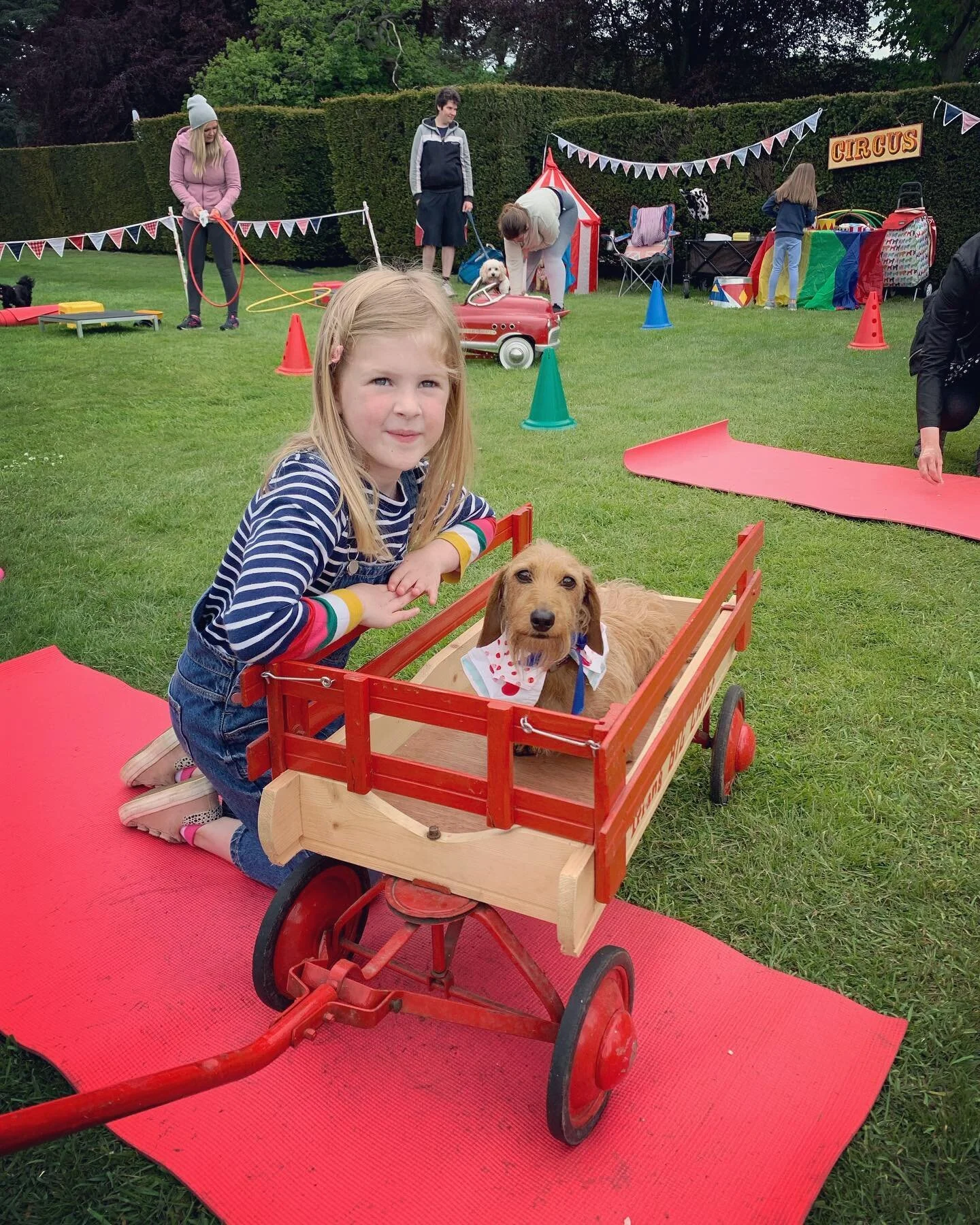 Dog Circus Culture — The Incredibly Clever Canine Circus