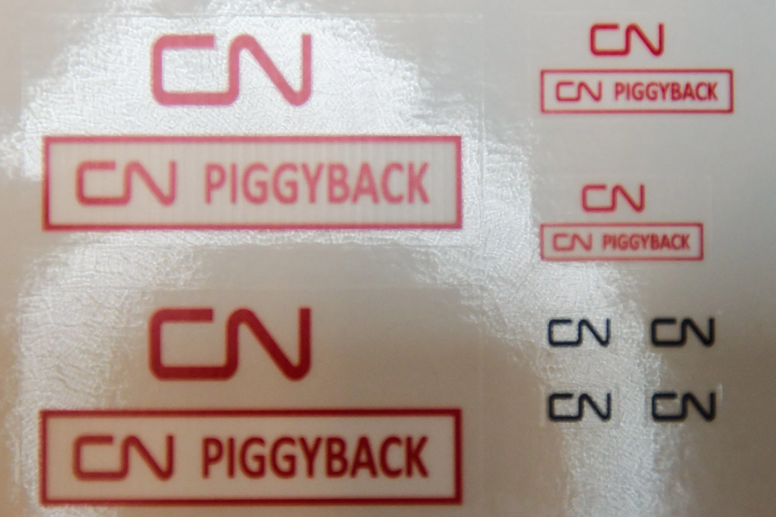 CN Piggyback — Sean Mahedy Photography