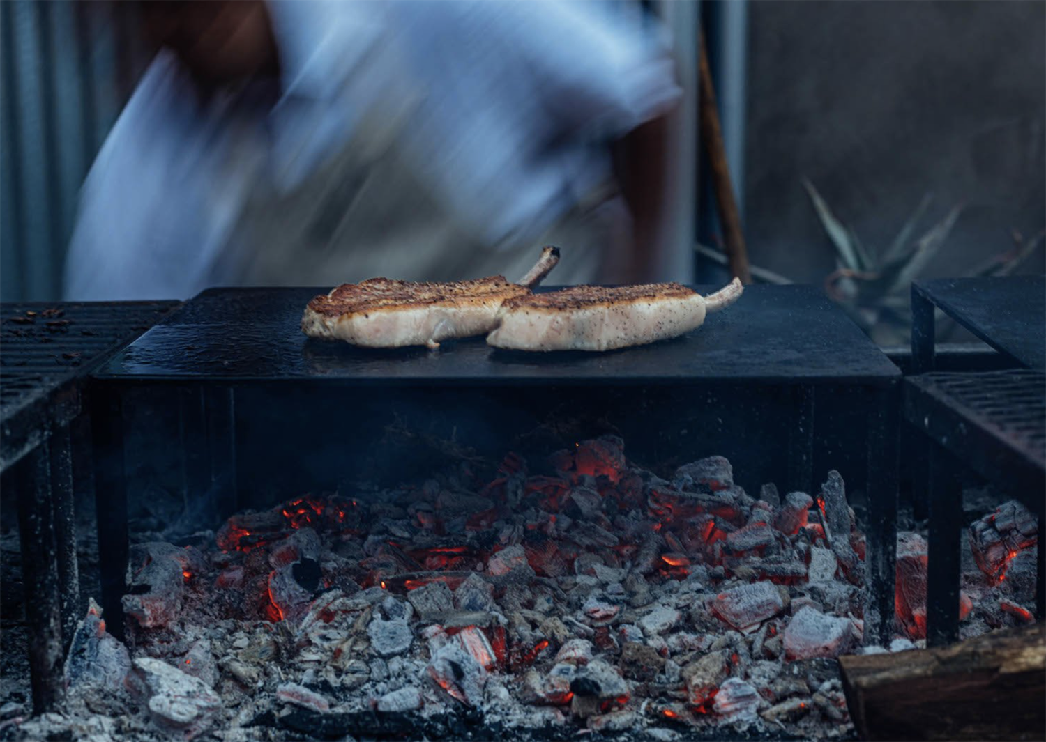 Menus | Explore Our Menus – Savor Fresh Options — Contigo Catering