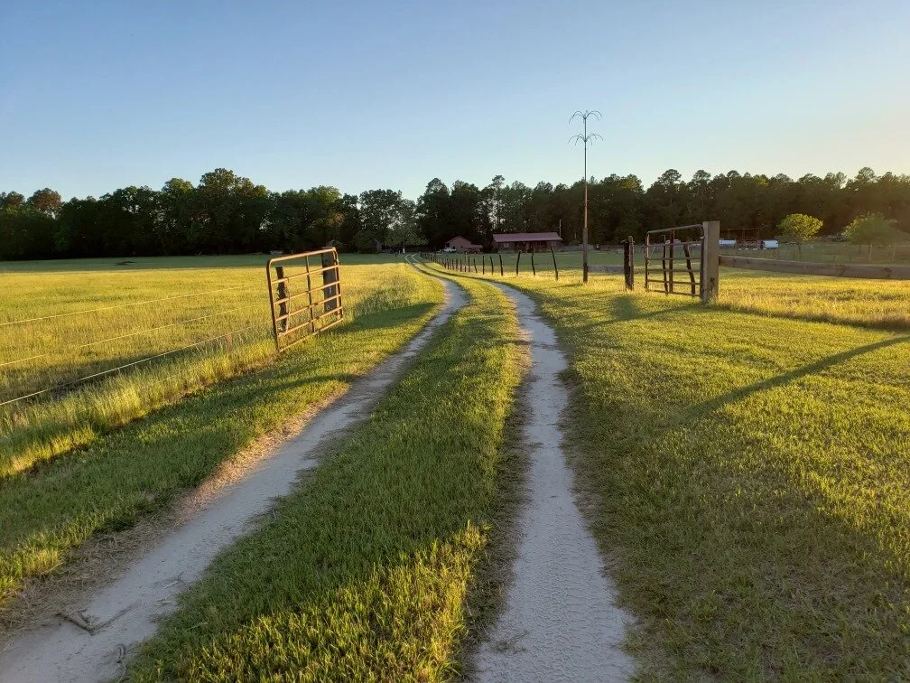 Stabler Family Farms | Gaston, SC | Sustainably Raised Beef, Pork ...