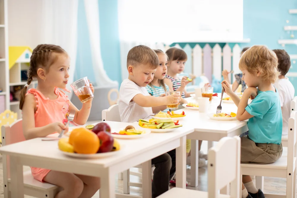 Fussy Food Plates | Kids Plates | Picky Eaters Dinner Plates