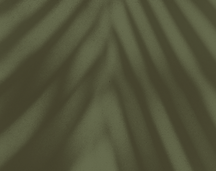 Menus | Deep Ellum — Palma