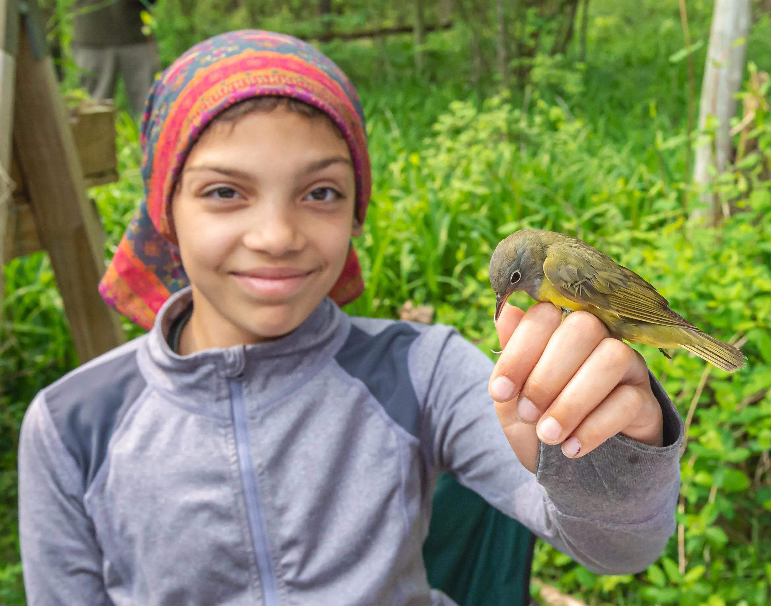 BIPOC Birding Club of Wisconsin