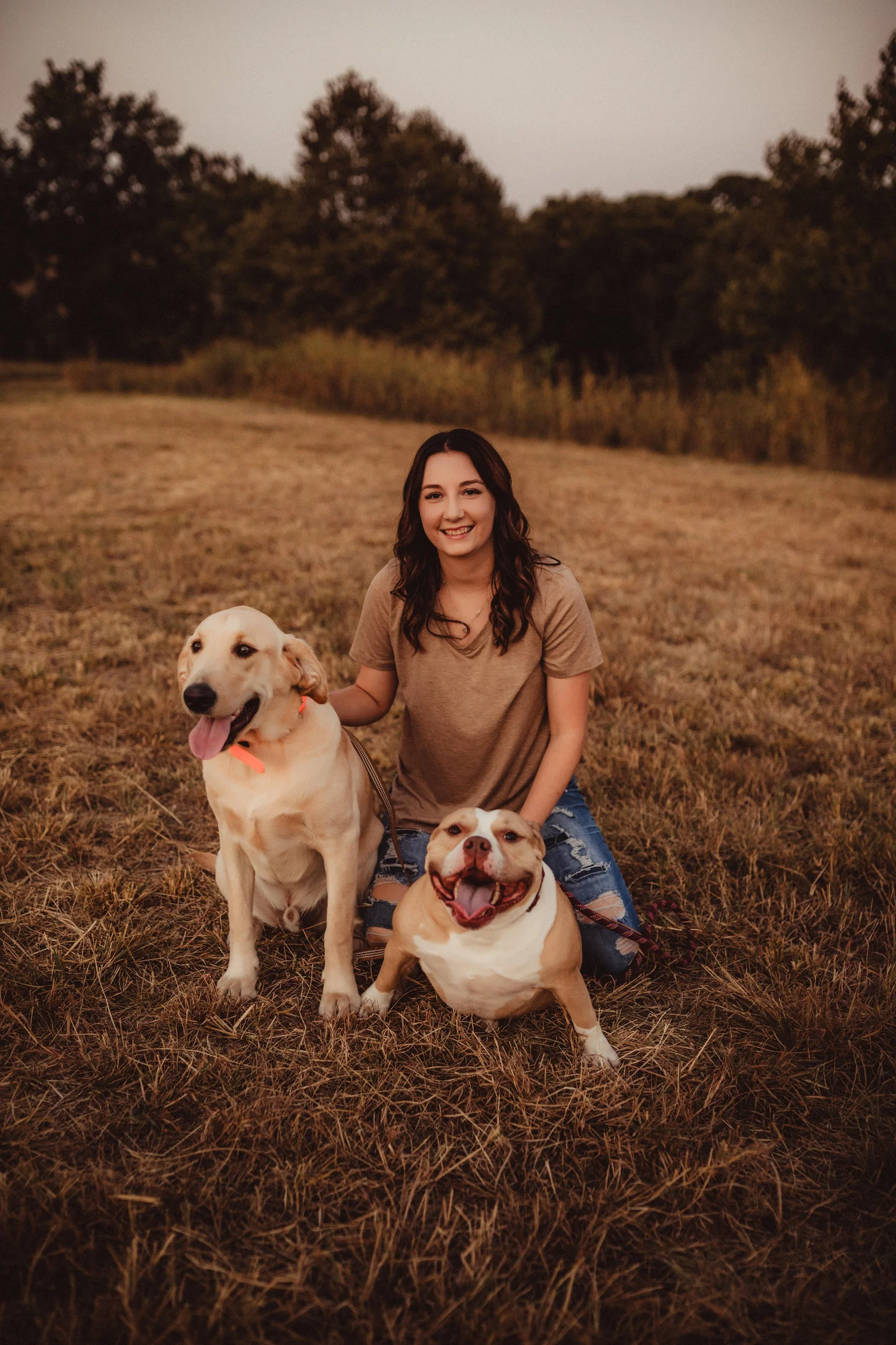 Team 1 — Winfield Veterinary Hospital