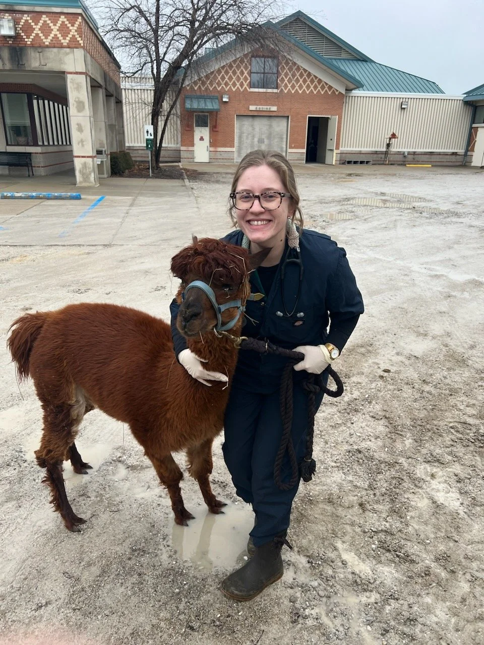 Team 1 — Winfield Veterinary Hospital