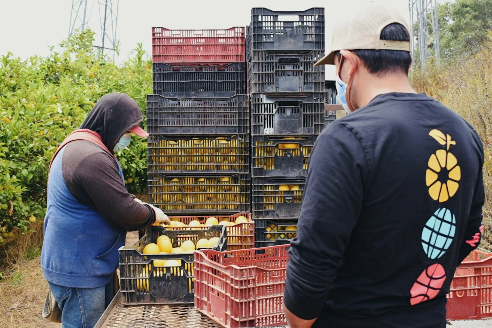 EAT — Eat.Learn.Play. Foundation