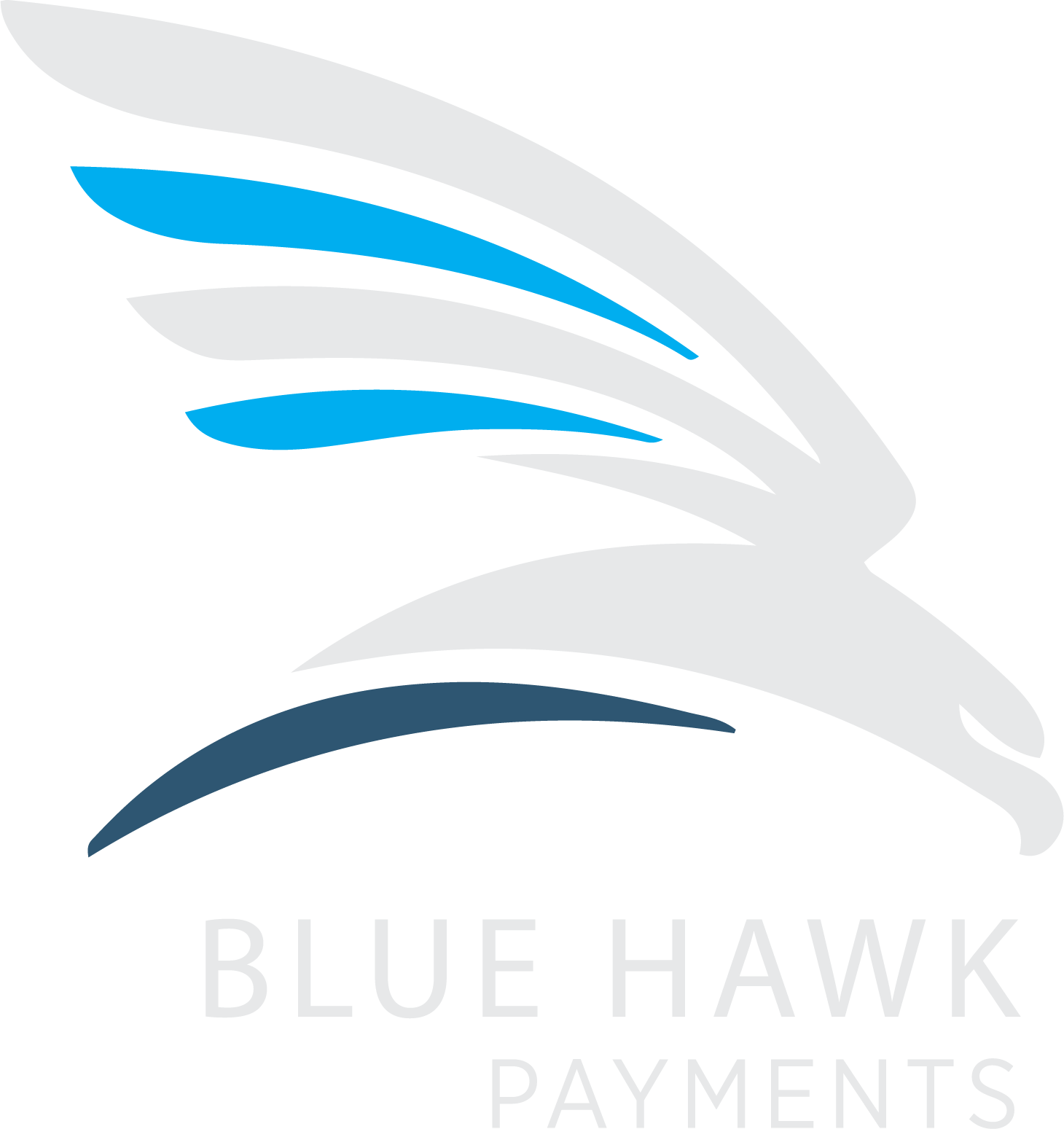 Blue Hawks Logo