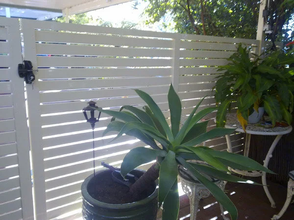 Outdoor Privacy Screens Wollongong Homes — Bayside Security Doors and Blinds