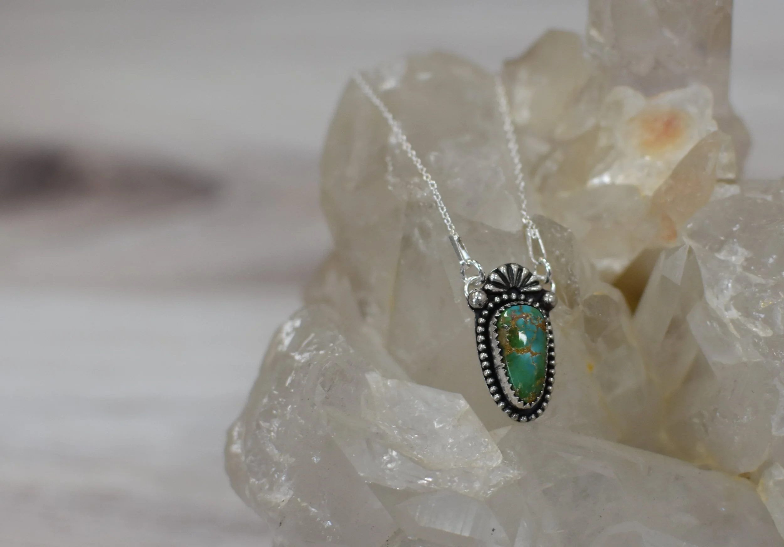 Store 2 — Roaming Bird Ranch