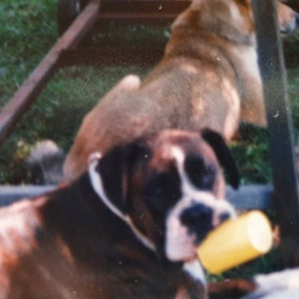 The faces of 1080 | Coalition Against 1080 Poison