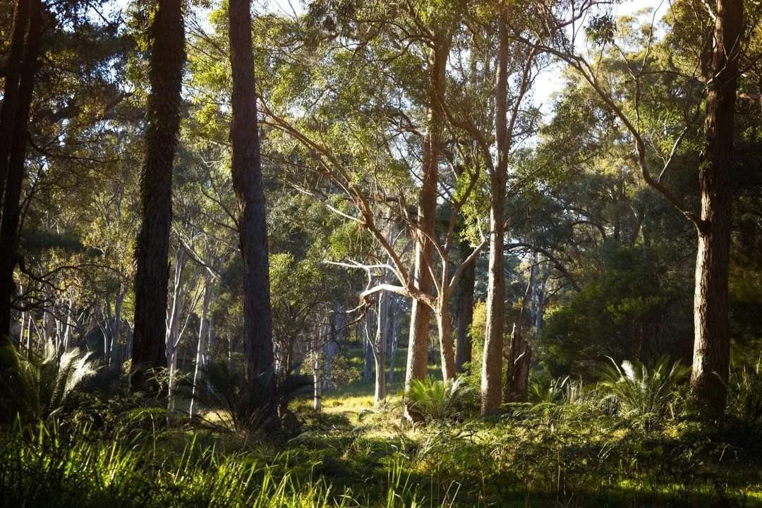 Meringo Nature Reserve | Coalition Against 1080 Poison