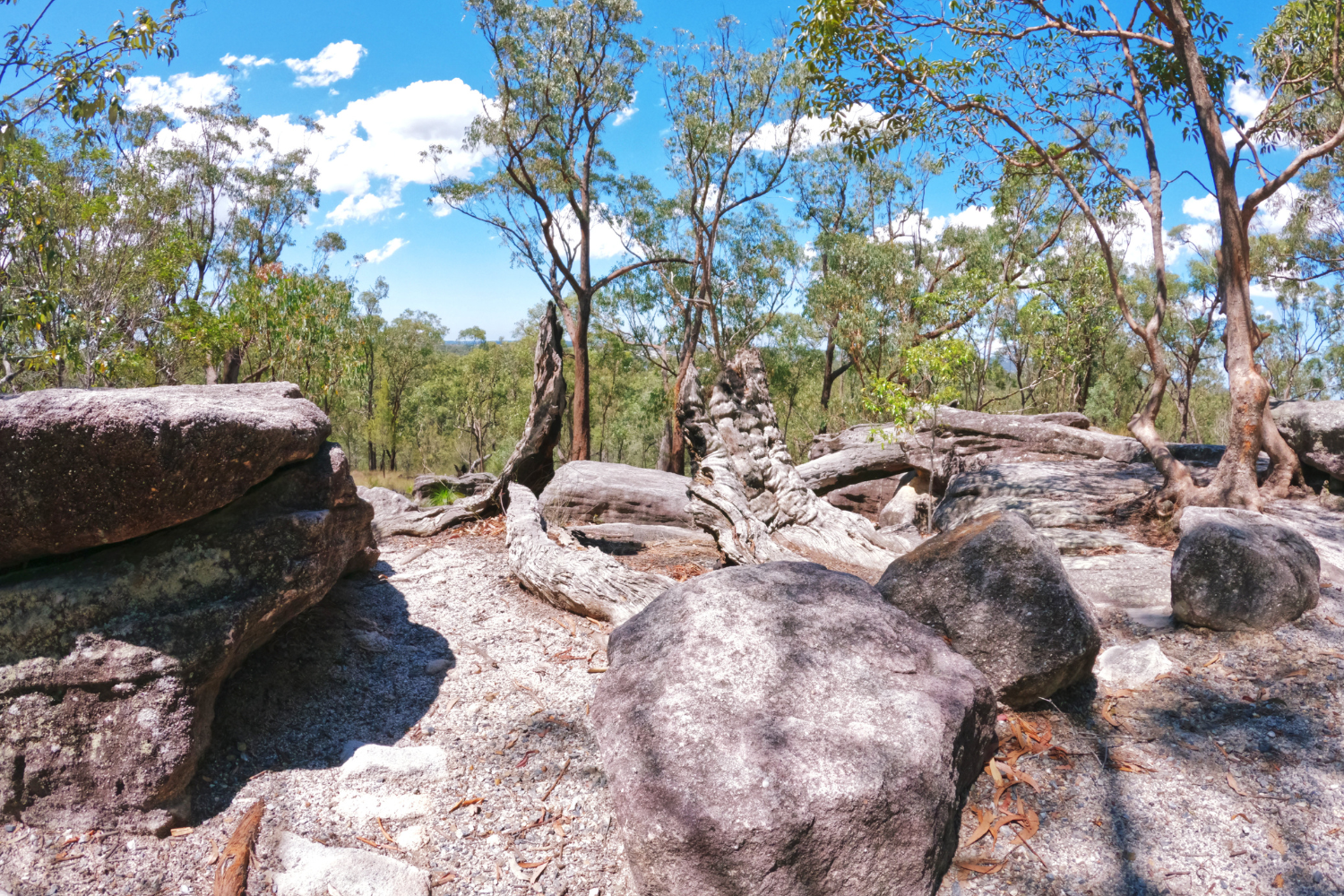 Jobs Mountain Nature Reserve | Coalition Against 1080 Poison