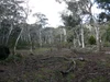 Badja Swamps Nature Reserve | Coalition Against 1080 Poison
