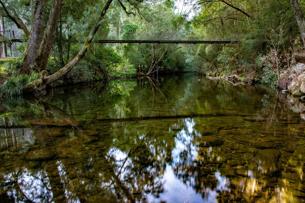 Kangaroo River Nature Reserve | Coalition Against 1080 Poison