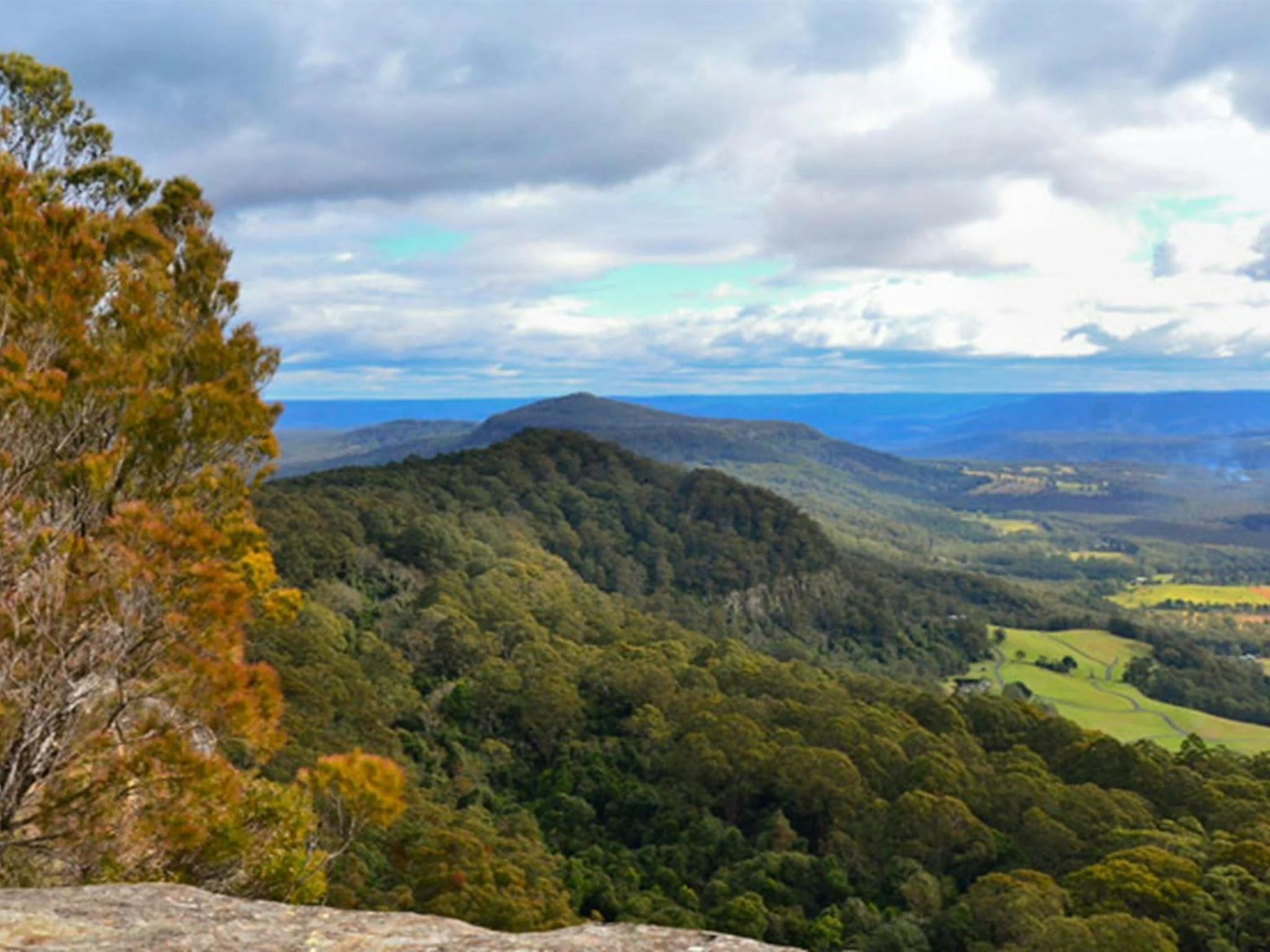 Cambewarra Range Nature Reserve | Coalition Against 1080 Poison